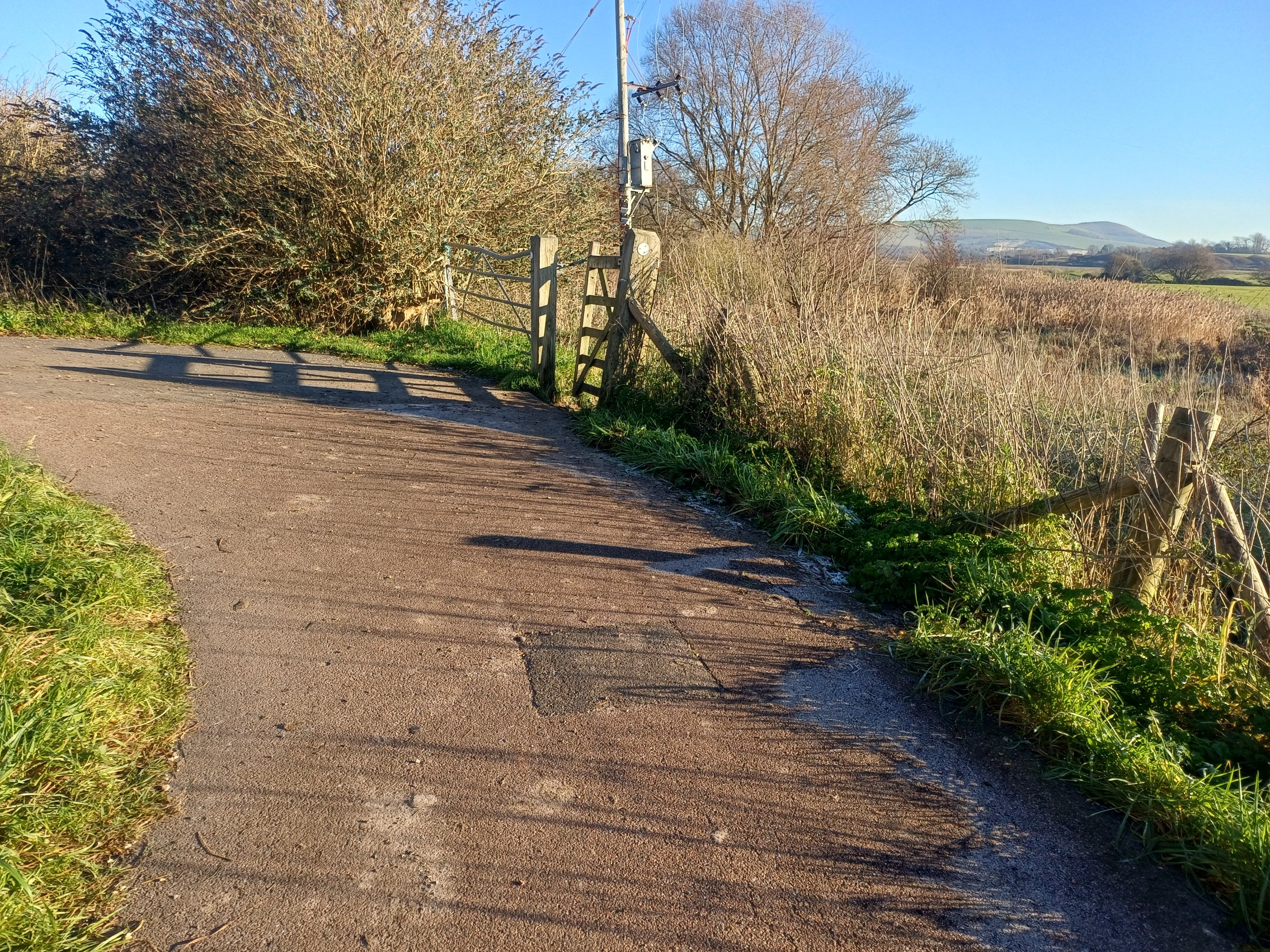 Haunted. Have I Seen the Ghost of Virginia Woolf? – The Rights of Fans.